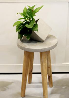 Cina Smonti la decorazione concreta della famiglia delle feci con le gambe di legno di ashtree in vendita