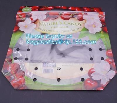 China Los bolsos de empaquetado de frutas de la legumbre de la cerradura plástica que se puede volver a sellar de la cremallera, OPP CPP imprimieron los bolsos de la uva para la fruta, Cremallera-cerradura de lujo Plasti en venta