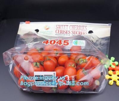 China Los bolsos de empaquetado de frutas de la legumbre de la cerradura plástica que se puede volver a sellar de la cremallera, OPP CPP imprimieron los bolsos de la uva para la fruta, Cremallera-cerradura de lujo Plasti en venta
