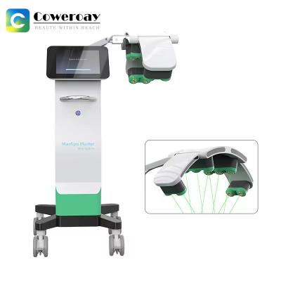 China 10D Maxlipo Master Cellulite Removal Slimming Fysiotherapie Machine Voor Armen Te koop