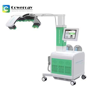 China 10D Maxlipo Master Laser Groen licht Cellulitisvermindering Stimulerend afslankpunt schoonheidsmachine Te koop