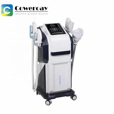 China 2 in 1 Cryolipolysis Fat Freezing Vacuum Therapy Machine fabrikant Te koop