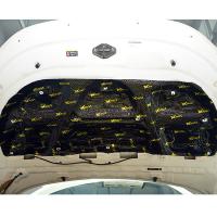 Quality Thermal Insulation Auto Acoustic Pad Polestar Shaped Particular Car Noise Reduction Pad for sale