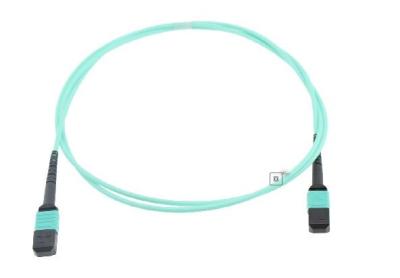 Cina Pinless lunghezza d'onda mista OM4/OM3 850/1300nm delle fibre del cavo a fibre ottiche 12 3ft/di 1m MPO in vendita