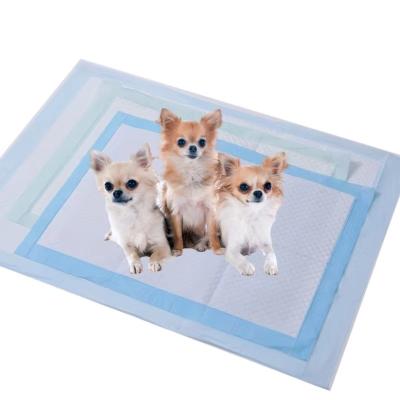 Chine Des coussinets d'entraînement pour chiots souples et extra-grands à 5 couches, étanches à la fuite, jetables pour chiens à vendre