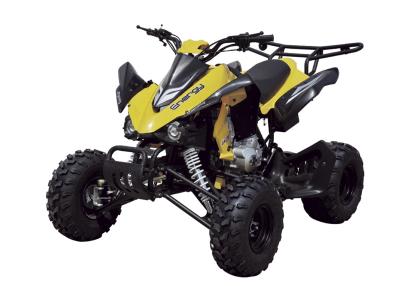 Cina Bici 250CC, 5 velocità del quadrato di Kandi ATV del comando a catena della CEE con l'inverso in vendita