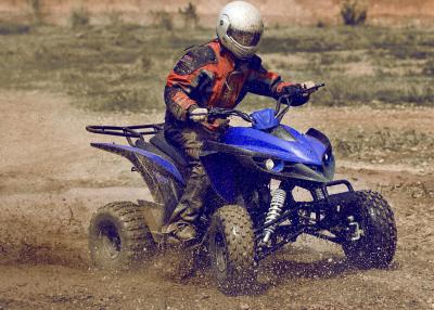 Cina CVT ATV, comando a catena, automatico con l'inverso in vendita