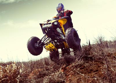 Cina Ingiallisca 4 la bici del quadrato dei carrai ATV con il motore 250cc, la CEE & EPA raffreddati ad acqua in vendita