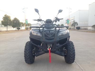 Cina CEE raffreddata ad acqua automatica ATV, quadrato pratico 250CC per l'adulto con comando a catena in vendita