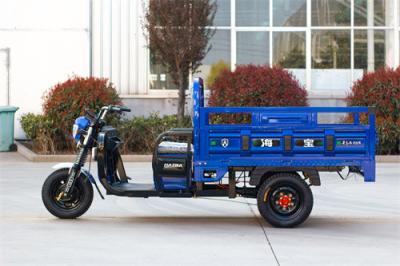 Κίνα Μπλε φορτηγό 1000W φορτίου Ε Trike φορτηγών χρησιμότητας ηλεκτρικό τρίκυκλο προς πώληση