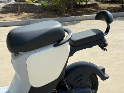 Chine L1-D 350W Véhicule électrique à deux roues à vendre