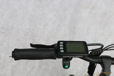 중국 알루미늄 합금 20 인치 접이식 전기 자전거 250W 8fun 모터 리?? 배터리 판매용
