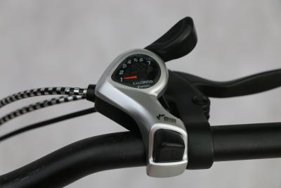 중국 알루미늄 합금 20 인치 접이식 전기 자전거 250W 8fun 모터 리?? 배터리 판매용