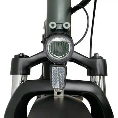 중국 2 휠 전기 지방 타이어 자전거 48V 500W 알루미늄 합금 20 인치 지방 타이어 전기 자전거 판매용