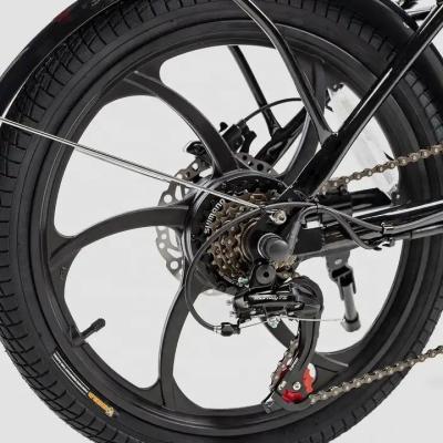 Chine Vélo pliant électrique pour adultes 20 pouces 6 vitesses 36V 250W Vélo électrique avec écran LCD à vendre