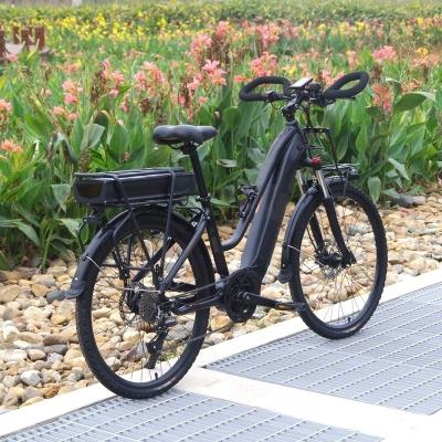 중국 26 인치 중동 전기 자전거 250W 수압 디스크 브레이크 자전거 성인용 판매용
