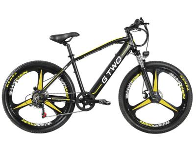 中国 250ワット 26