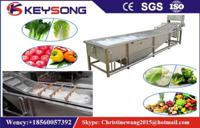 Cina Alimento vegetale piantato che elabora macchinario, lavatrice automatica della bolla di aria in vendita