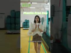 일회용 커피 종이컵 친환경 맞춤 로고 이중 레이어 핫 드링크 종이컵