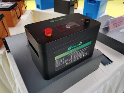 Cina Stoccaggio solare del ciclo Lifepo4 di potere profondo della batteria 12V 24V 100ah 200ah 300ah in vendita