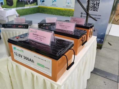 Cina 100 sostituzione acida al piombo solare della batteria 12V 100ah del fosfato del ferro del litio di Ebike di ora di amp in vendita