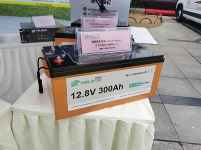 Cina Batteria solare 300ah 12V 100ah del fosfato del ferro del litio del motociclo per l'invertitore rv in vendita