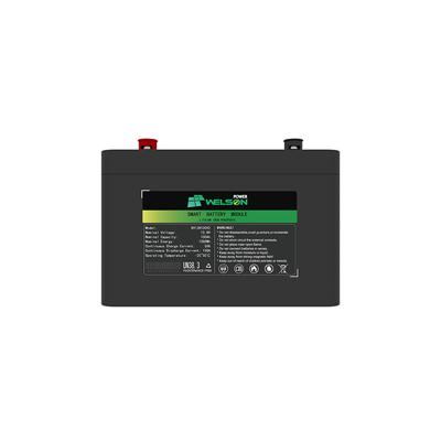 Cina Volt solare LiFePO4 12V 100ah BMS della batteria 24 del fosfato del ferro del litio del veicolo elettrico di Ev in vendita