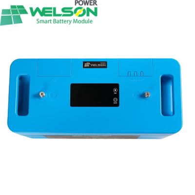 Cina il ferro del litio di 12v Bms Lifepo4 fosfatizza le batterie per il ciclo solare di stoccaggio 100ah 6000 in vendita