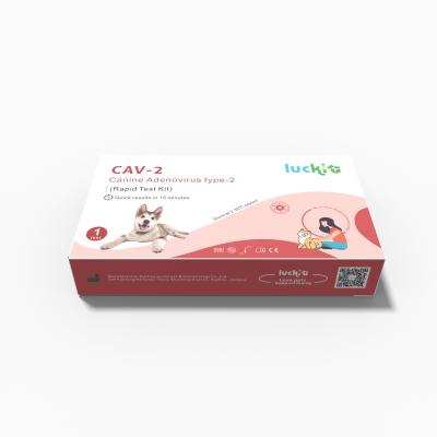 China 5-15 minutos Canineadenovirus tipo 2 CAV-2 Pet Rapid Test Fast Reaction Rapid Class I en venta