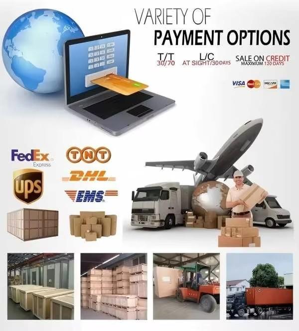 Secure packaging and shipping procedures
