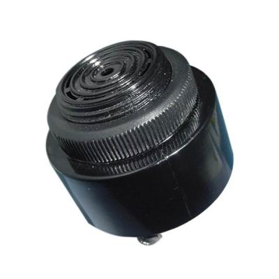 Cina Cicalino piezo-elettrico dell'allarme montato pannello con il grande altoparlante sano, nero in vendita