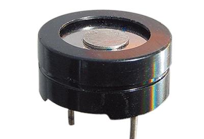 Cina trasduttore magnetico esterno di 12mm elettro, cicalino elettrico 3V in vendita