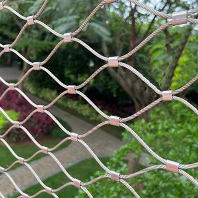 Chine SS 316 filetage en fil d'aileron pour oiseaux - clôture de zoo en acier inoxydable à vendre