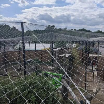 China Red de malla de alambre flexible de acero inoxidable Red de pájaro de aviario en venta