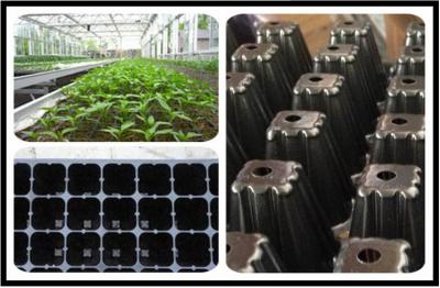 중국 Seedlings plants grow plug tray plant containers for nurseries 200 cells 판매용