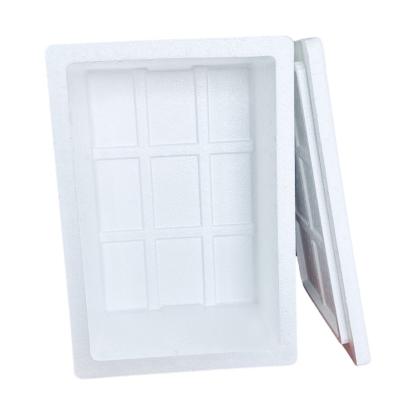 China EPS-Inkubator Kaltketten Transport Schaumkasten Anpassung zu verkaufen