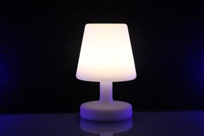 Cina Renda incombustibile il piccolo lampeggiamento domestico vivente della lampada illuminato LED 4GB della luce dell'umore in vendita