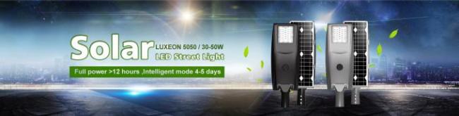 batteria al litio tutta in una lampada principale solare principale solare dell'iluminazione pubblica 30W