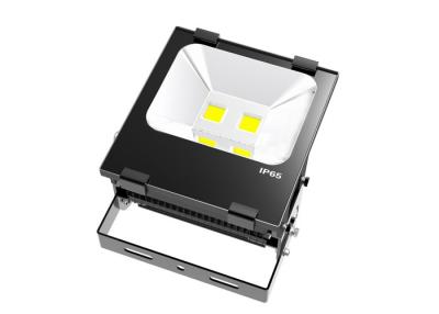 Cina CE all'aperto/RoHs delle luci di inondazione del giardino/paesaggio LED di Istruzione Autodidattica 70 100W IP65 in vendita