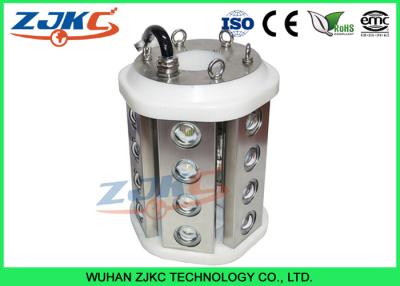 中国 DC24Vの浸水許容の緑LED釣ライト 販売のため
