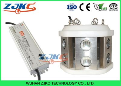China 316 luzes de aço inoxidável da pesca do diodo emissor de luz do submarino com 2 anos de garantia à venda