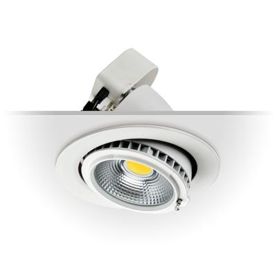 Cina 20W PANNOCCHIA economizzatrice d'energia Downlight messo principale commerciale Dimmable in hotel/negozio in vendita