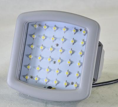 Cina L'alto baldacchino dei lumi LED di IP68 3600Lm accende all'aperto per illuminazione commerciale del corridoio in vendita
