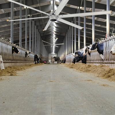 중국 12ft 10ft 5.5m 거대한 산업 HVLS 천장 팬 최적 냉각 성능 판매용