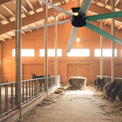 중국 AMTHI PMSM HVLS 팬 모터 창고의 큰 환기를 위해 1500W 220V 5m 6.1m 7.3m 판매용