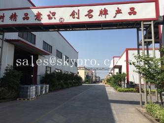 Cina Nanjing Skypro Rubber&Plastic Co.,ltd