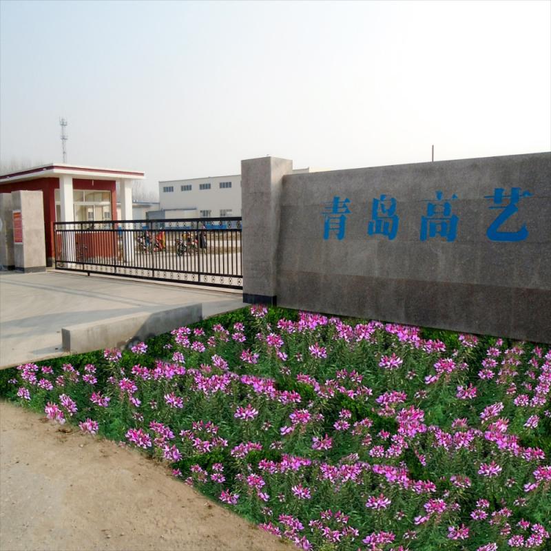 Verified China supplier - Qingdao High Art Glass Co., Ltd.