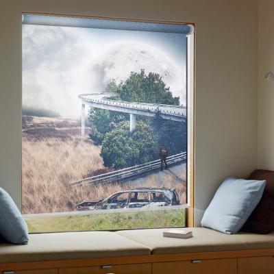 China 3d gedrukte horizontale en industriële hand blinde rol van het beeldverhaalpatroon Te koop