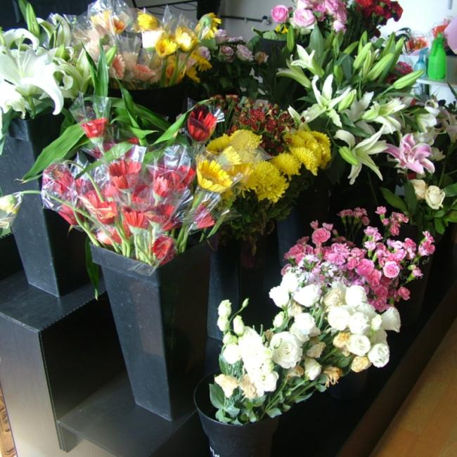 PP display stand