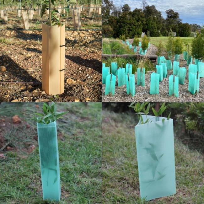 PP plastic tree guard